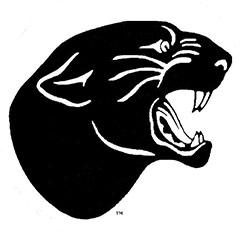 Stevens Point - Prep Softball